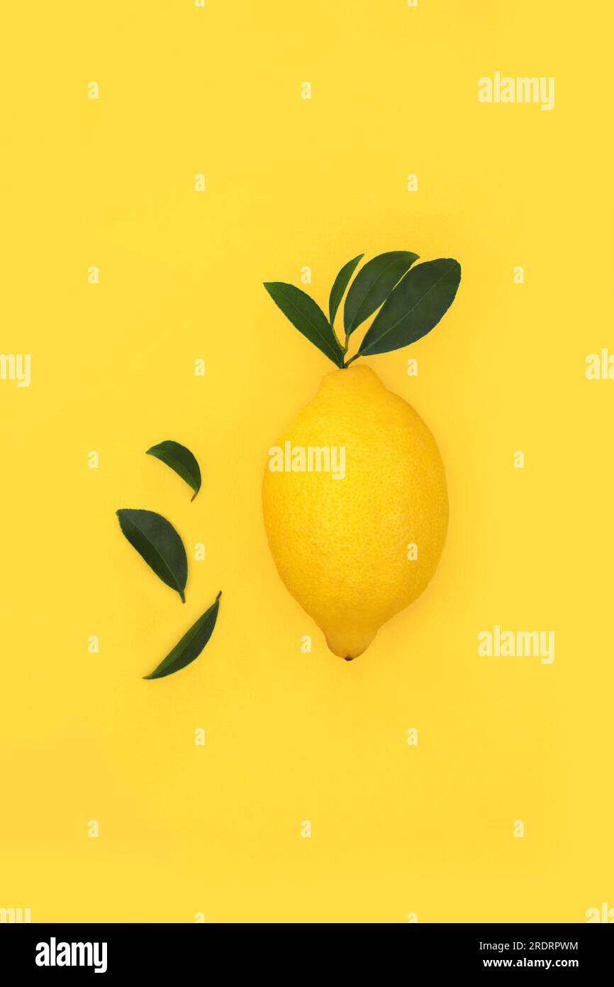 Lemon citrus fruit health food abstract design with leaves on yellow ...