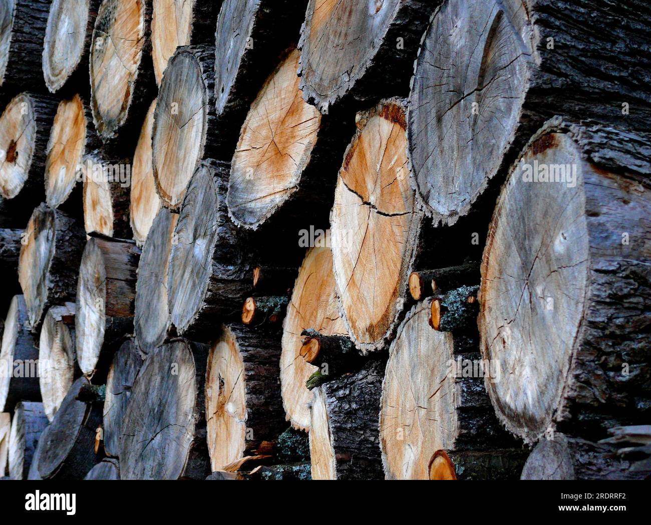 Firewood store, unsplit Stock Photo - Alamy