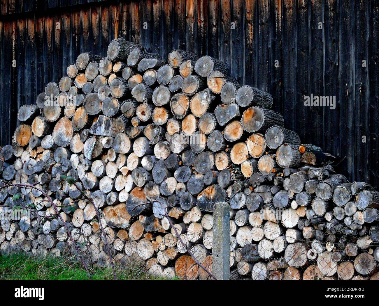 Firewood store, unsplit Stock Photo - Alamy