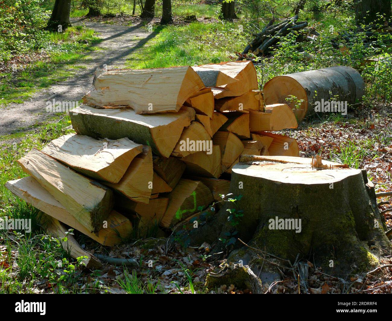 Price of firewood hi-res stock photography and images - Alamy