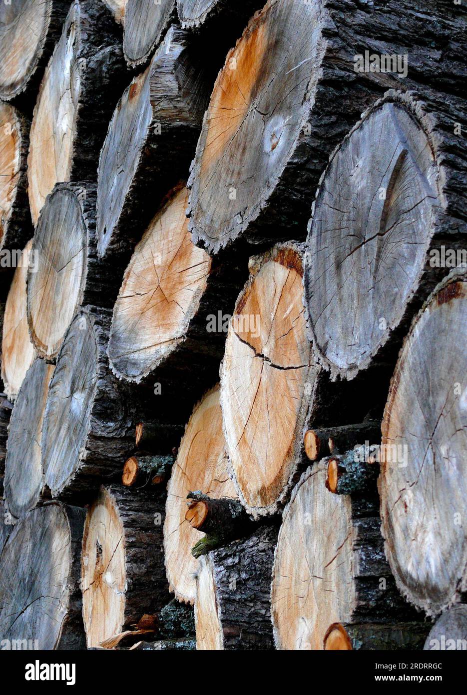 Firewood store, unsplit Stock Photo - Alamy