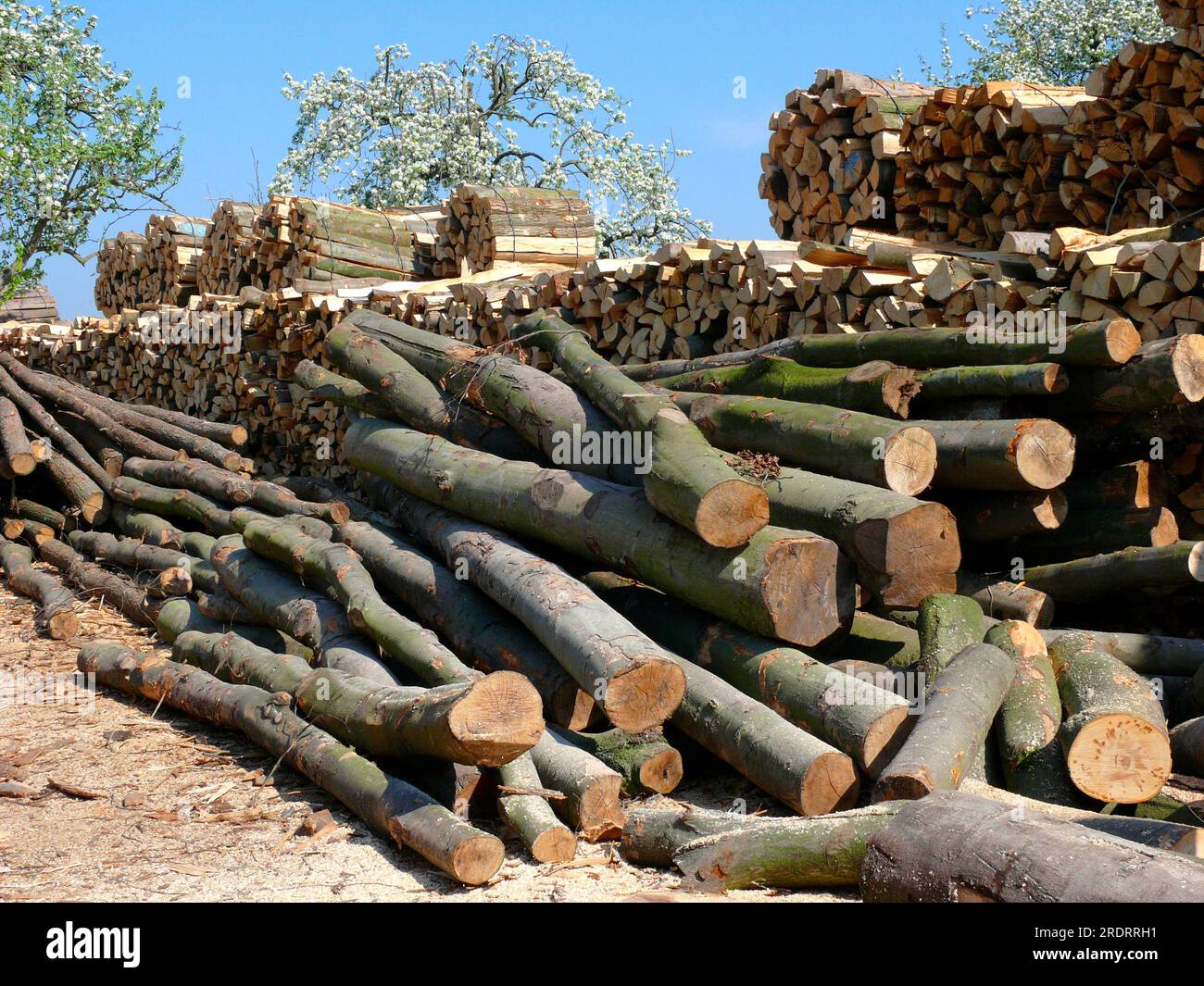 Firewood store, stacked firewood Wood store Stock Photo - Alamy