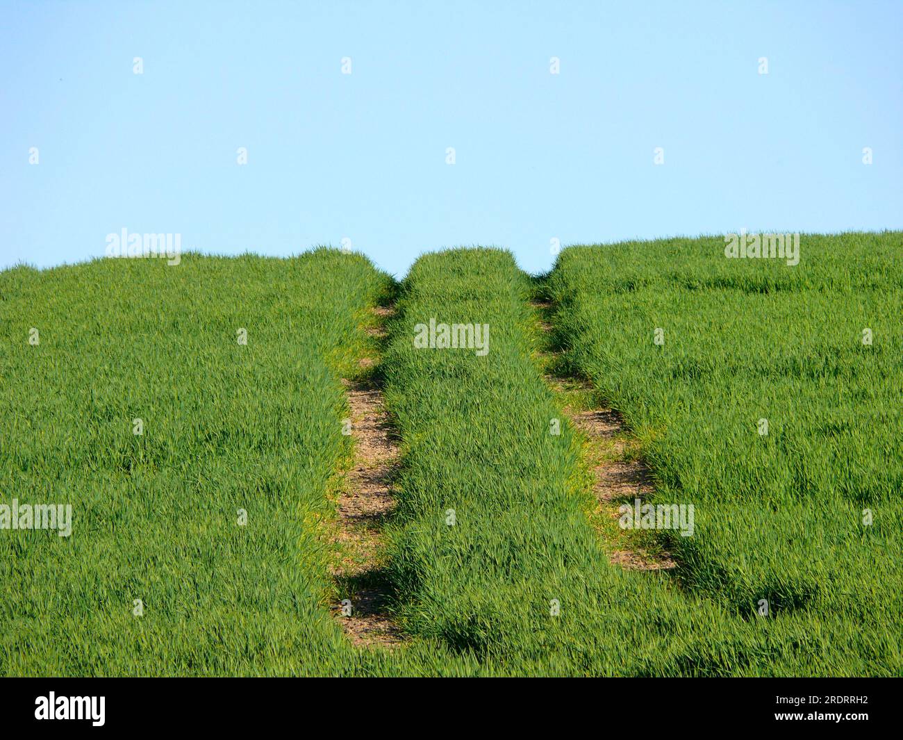 Field path, wagon tracks, tractor track Stock Photo - Alamy