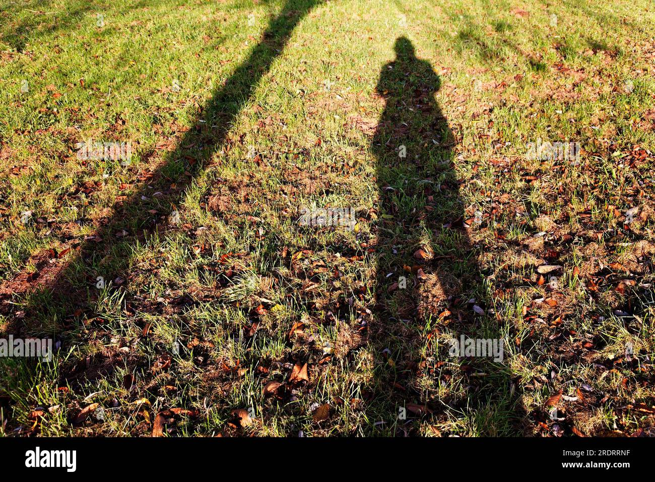 Shade shadow shadowy hi-res stock photography and images - Alamy