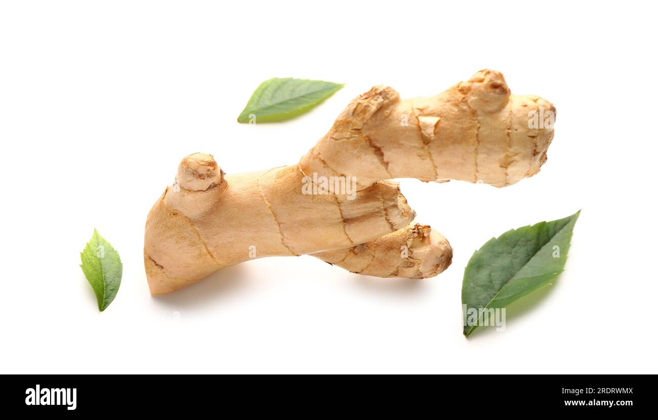 Fresh ginger root and leaves on white background Stock Photo - Alamy