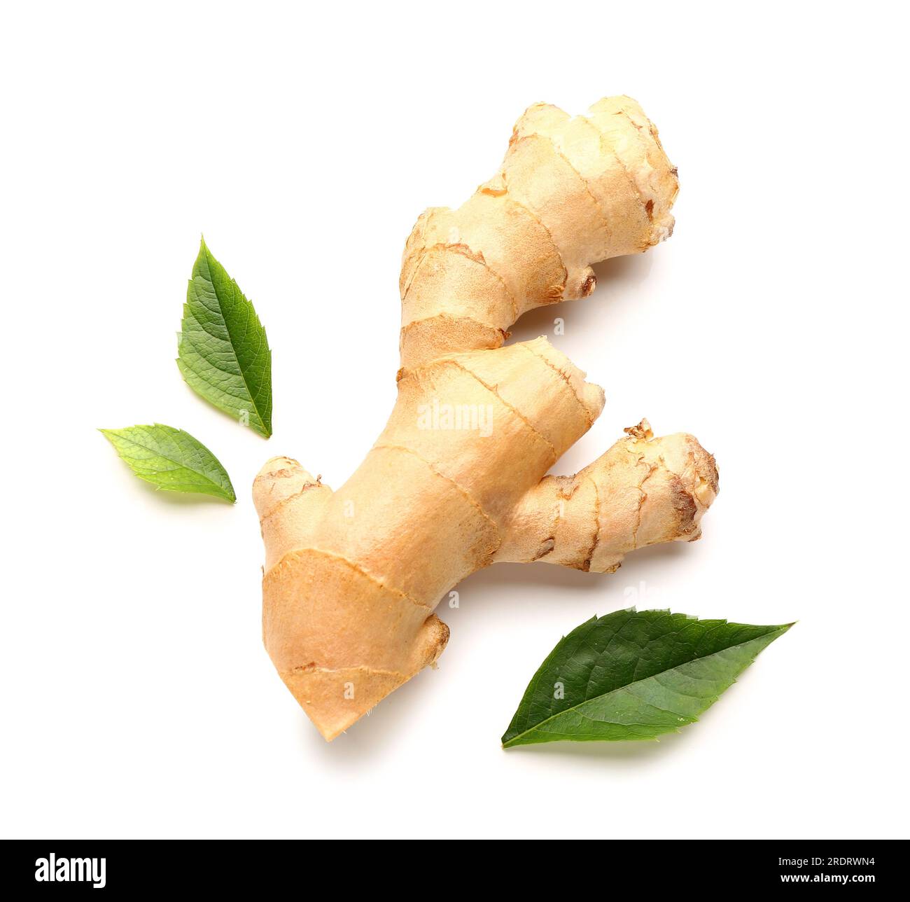 Fresh ginger root and leaves on white background Stock Photo - Alamy