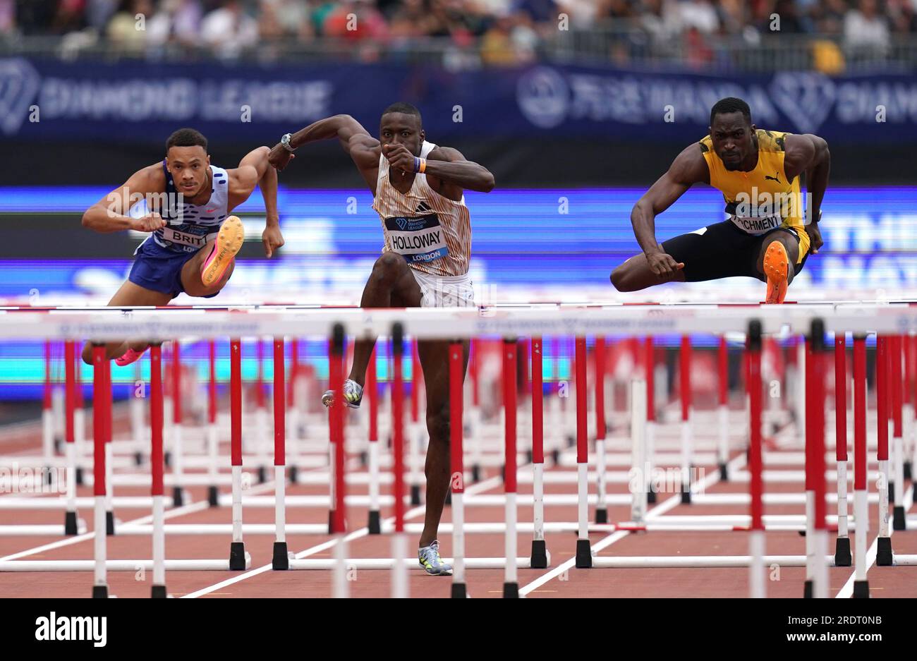 Hansle parchment jamaica hi-res stock photography and images - Alamy