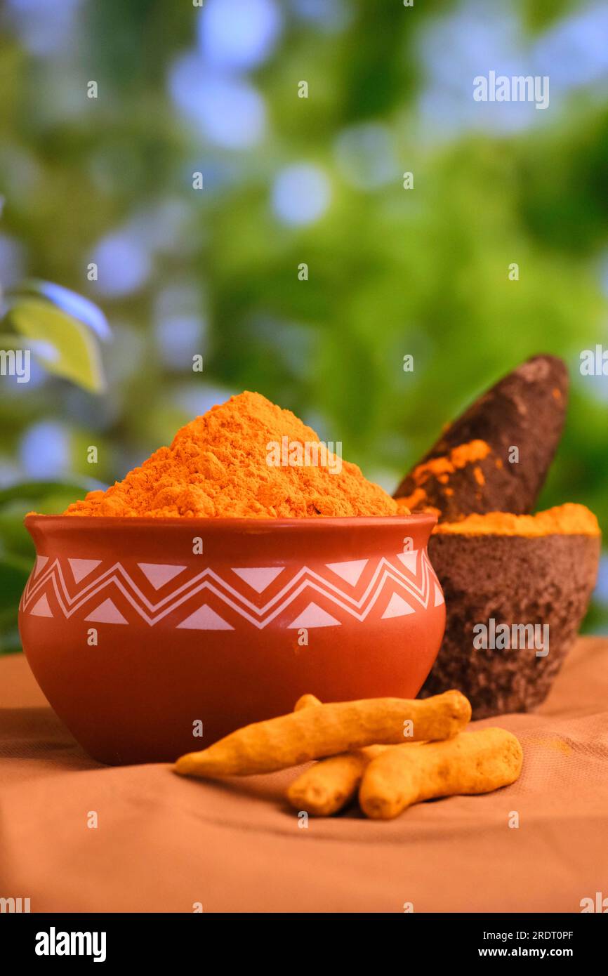 Dry turmeric powder (curcuma longa linn) stone mortar, traditional ...