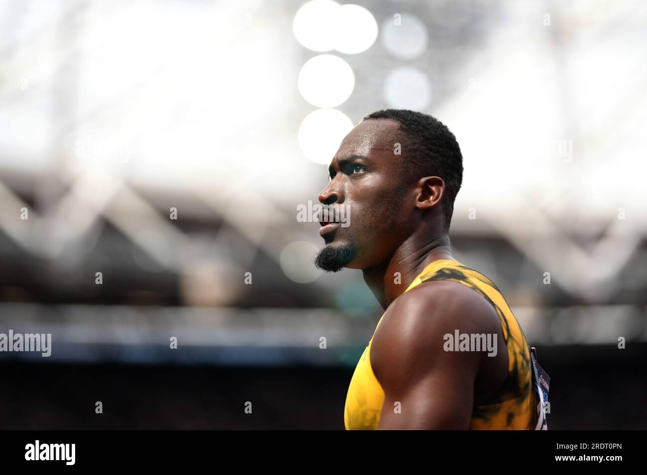 Hansle parchment 2023 hi-res stock photography and images - Alamy