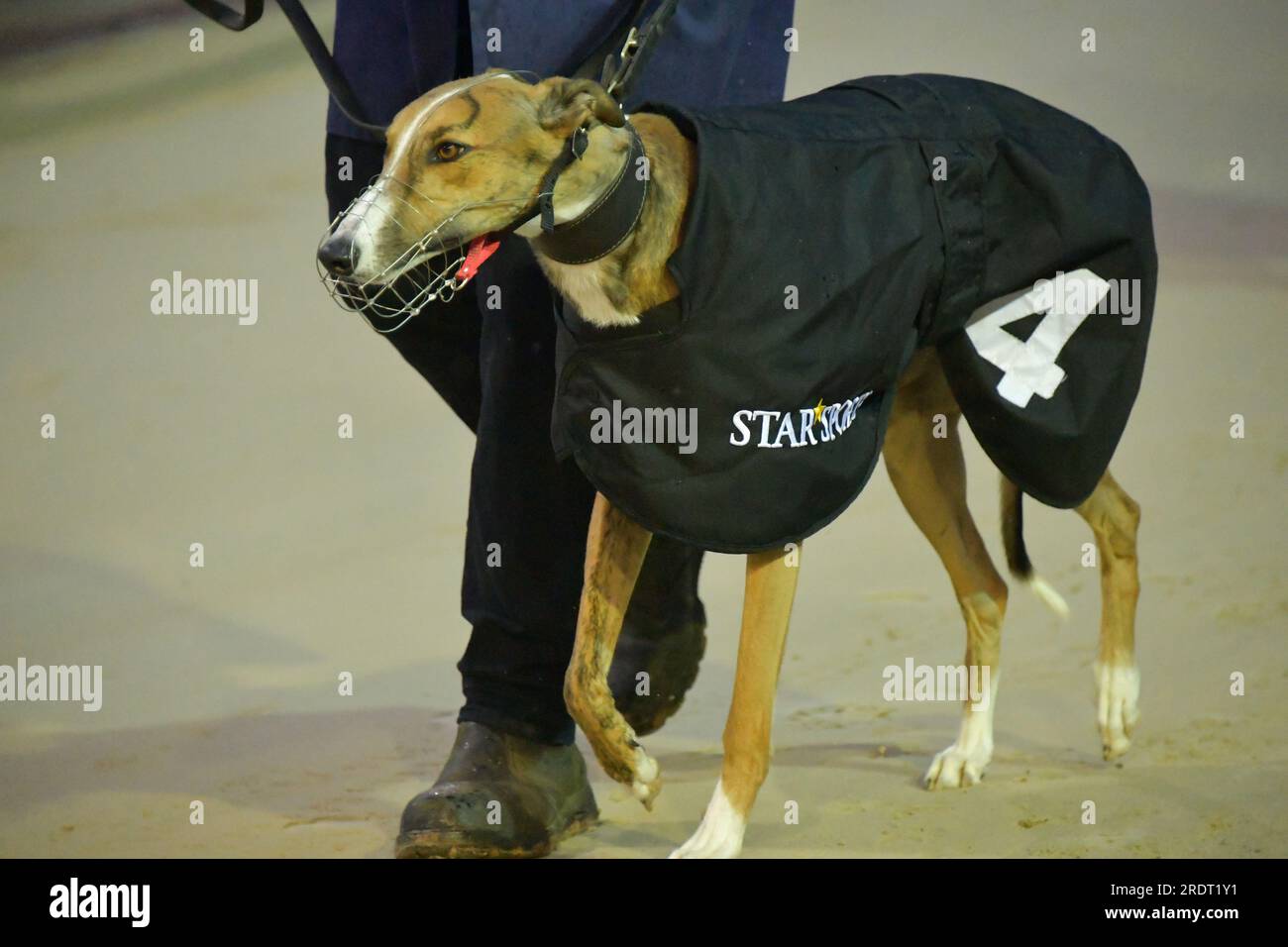 Ivanexile hi-res stock photography and images - Alamy