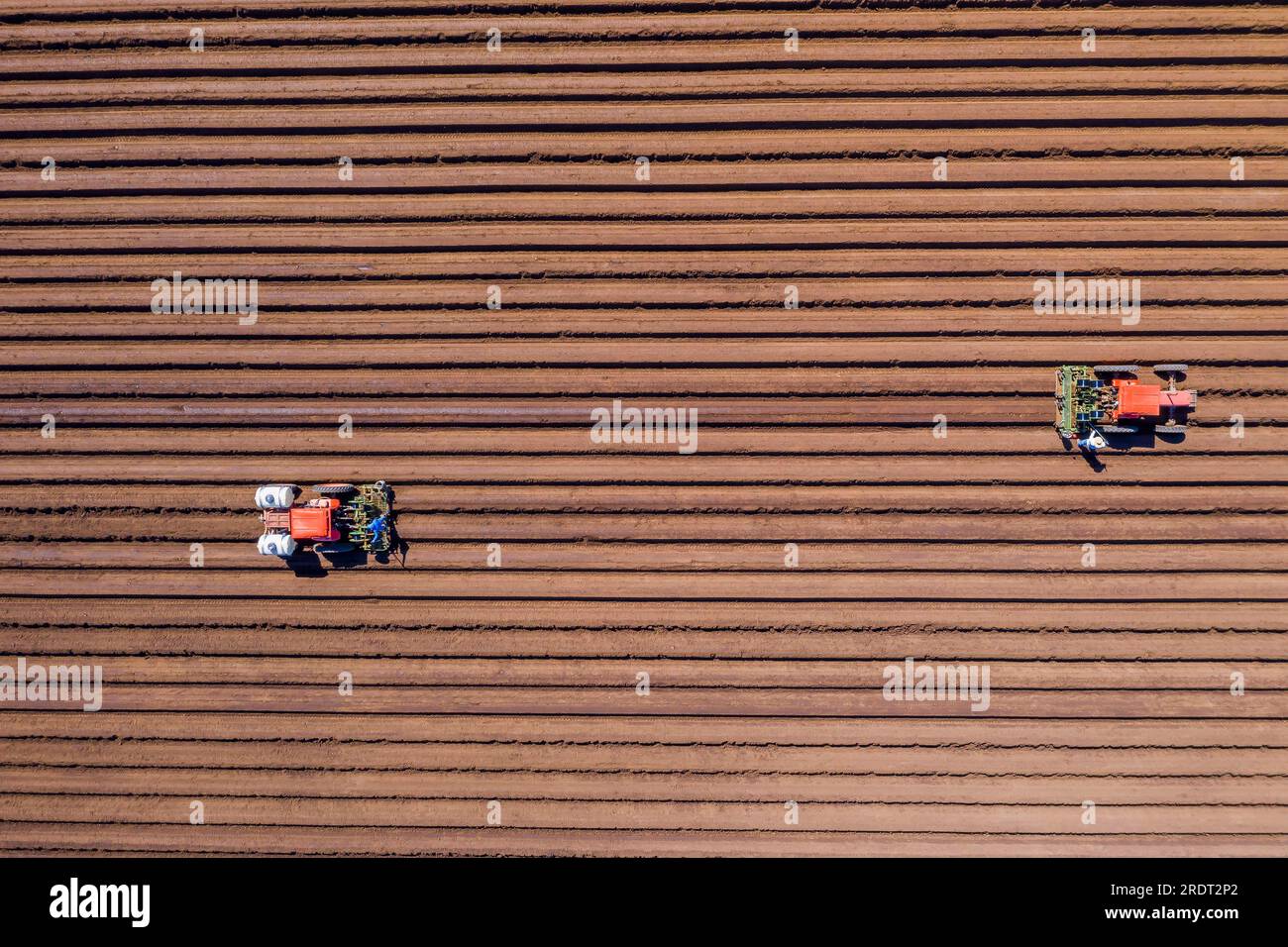Aerial view of farmers working in a field gathering crops for consumers ...