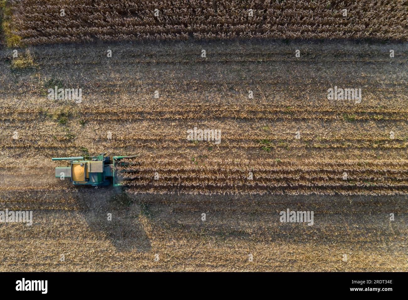 Aerial view of farmers working in a field gathering crops for consumers ...