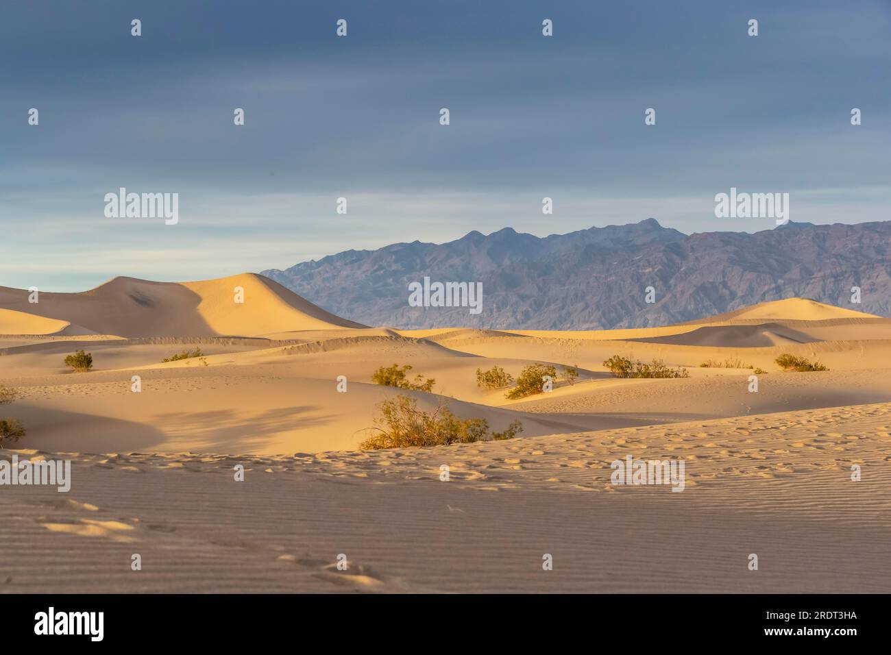 Scenic views of an American Desert Stock Photo - Alamy
