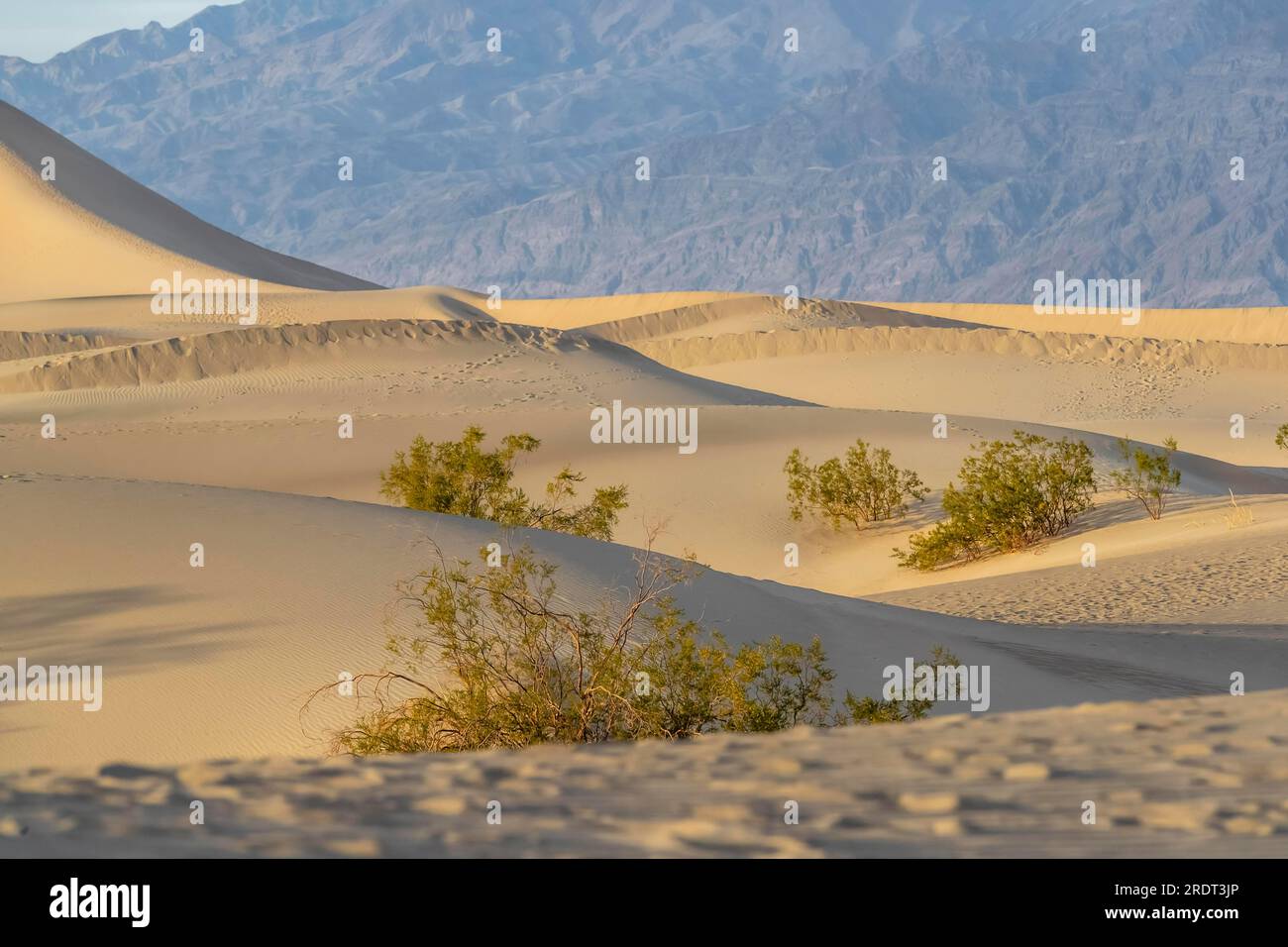 Scenic views of an American Desert Stock Photo - Alamy
