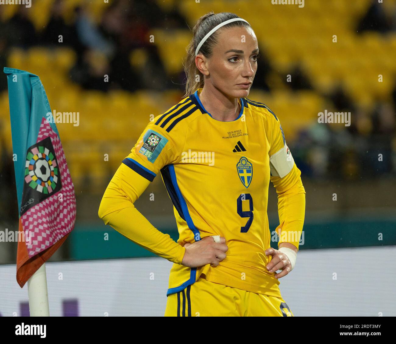 Swedish official flag hi-res stock photography and images - Alamy