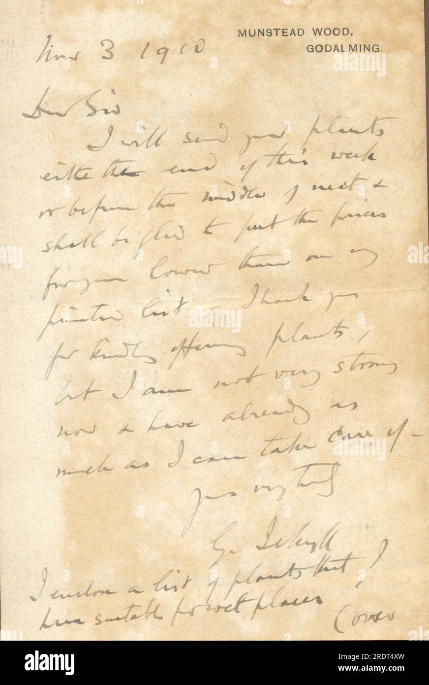Manuscript letter from Gertrude Jekyll, Munstead Wood, Godalming ...
