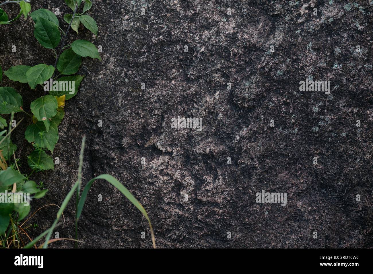A large stone covered with moss lies on the green grass. Close-up ...