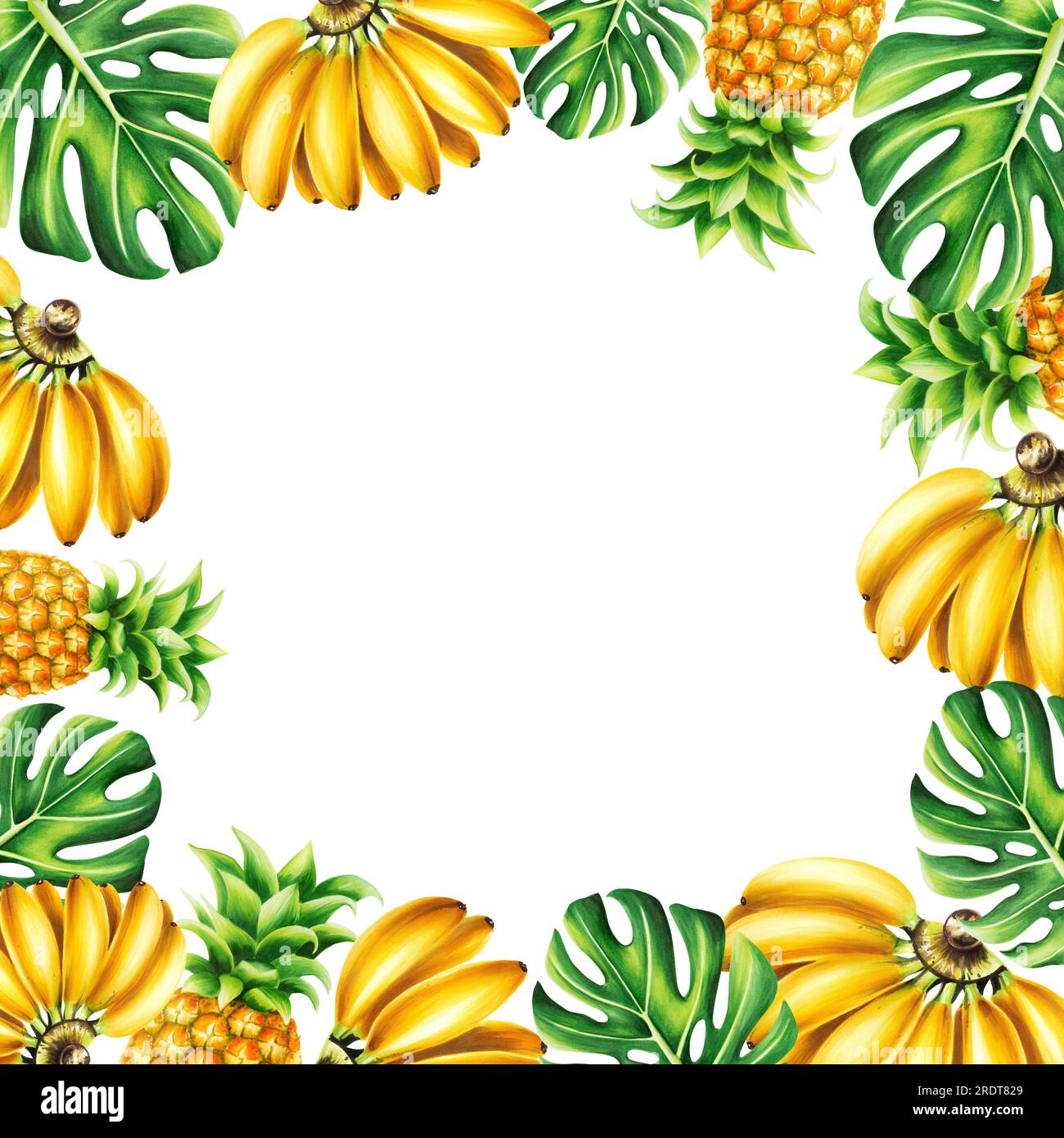 Watercolor tropical frame with a bunch of bananas, pineapples and ...