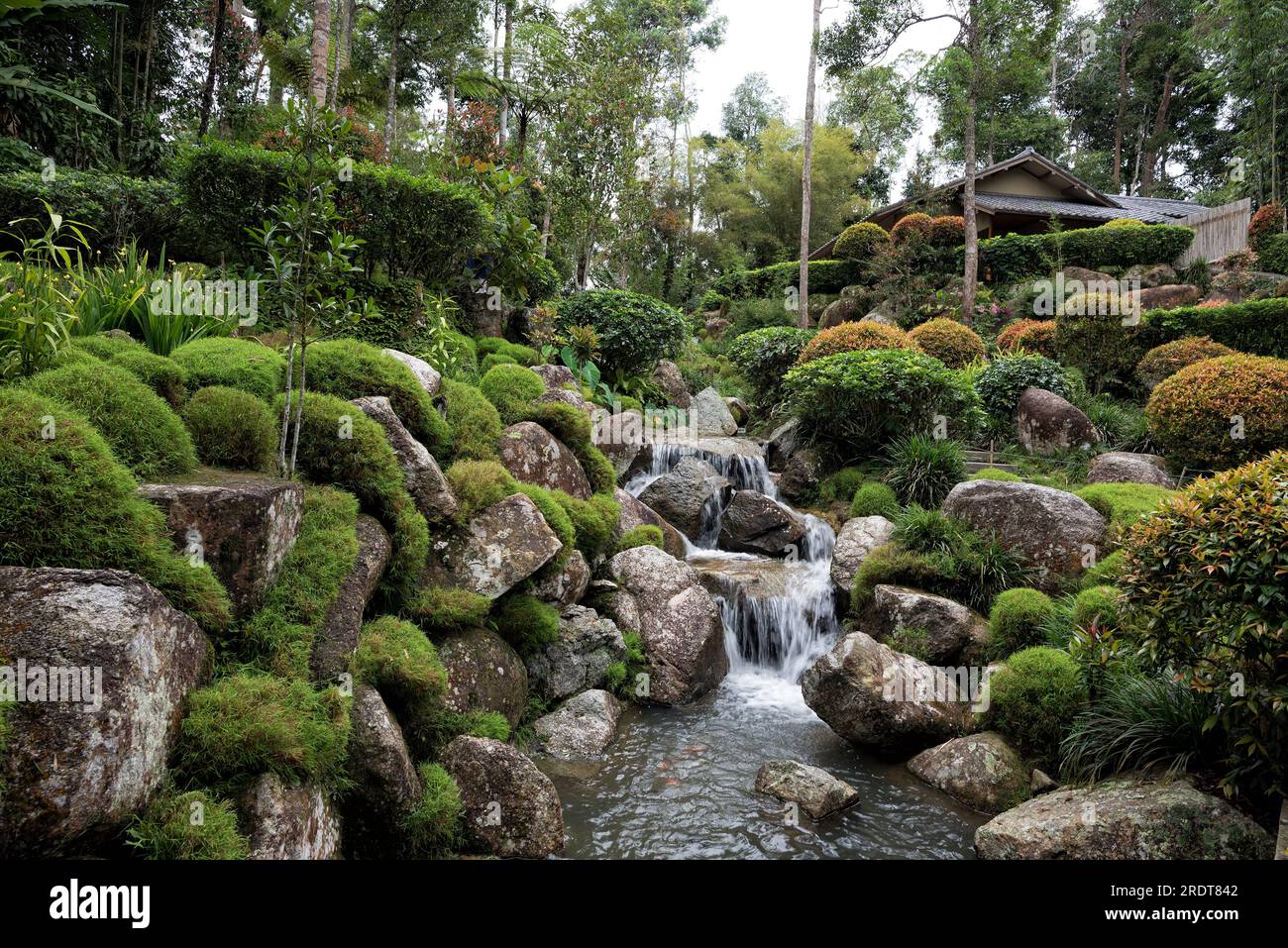 Famous Botanical Japanese Village in tropical rainforest, Bukit Tinggi ...
