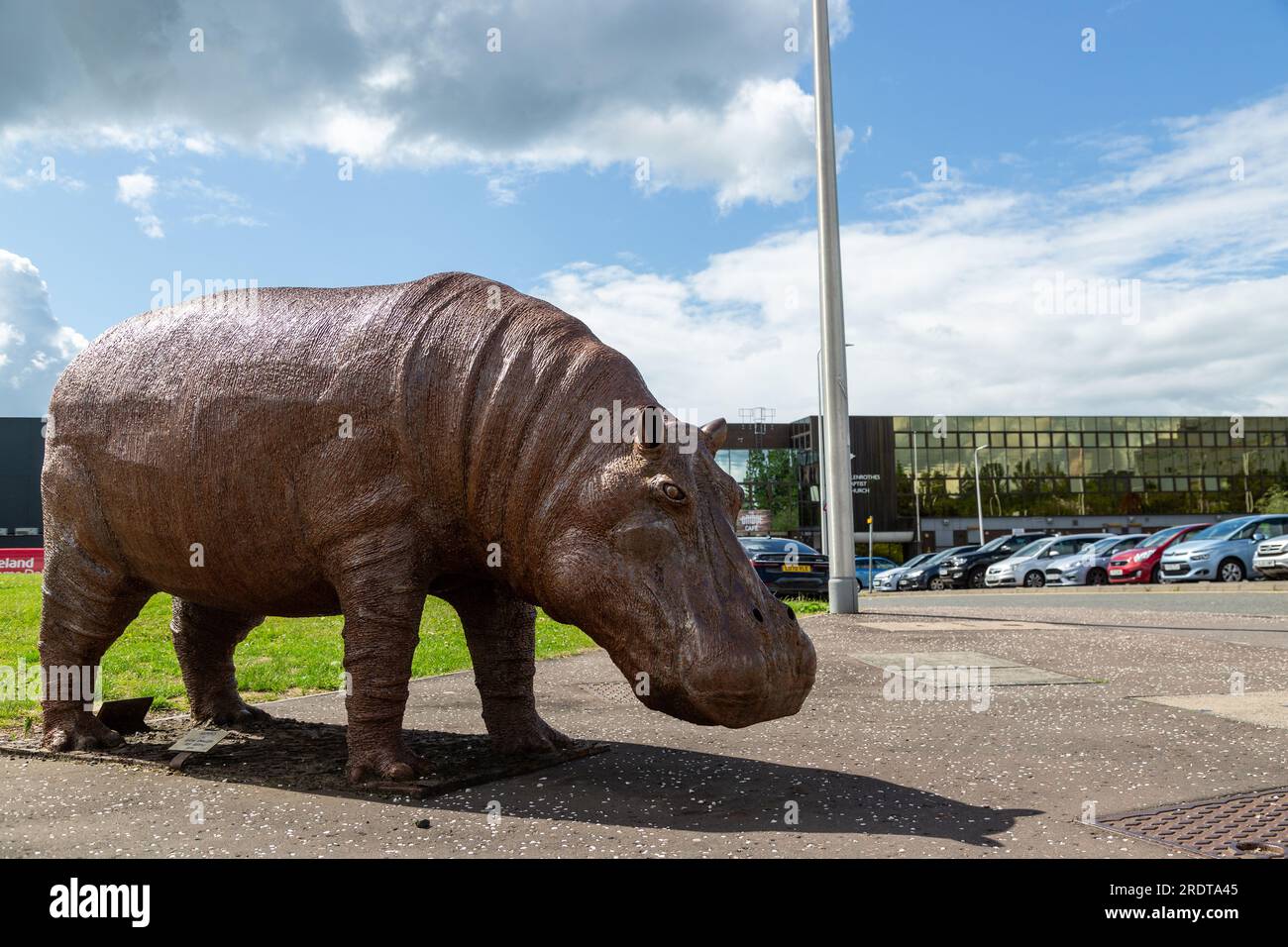 Life-size hippopotamus by artist Rory Thomas outside the Kingdom ...