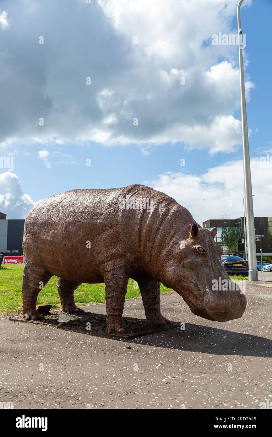 Life size hippopotamus hi-res stock photography and images - Alamy
