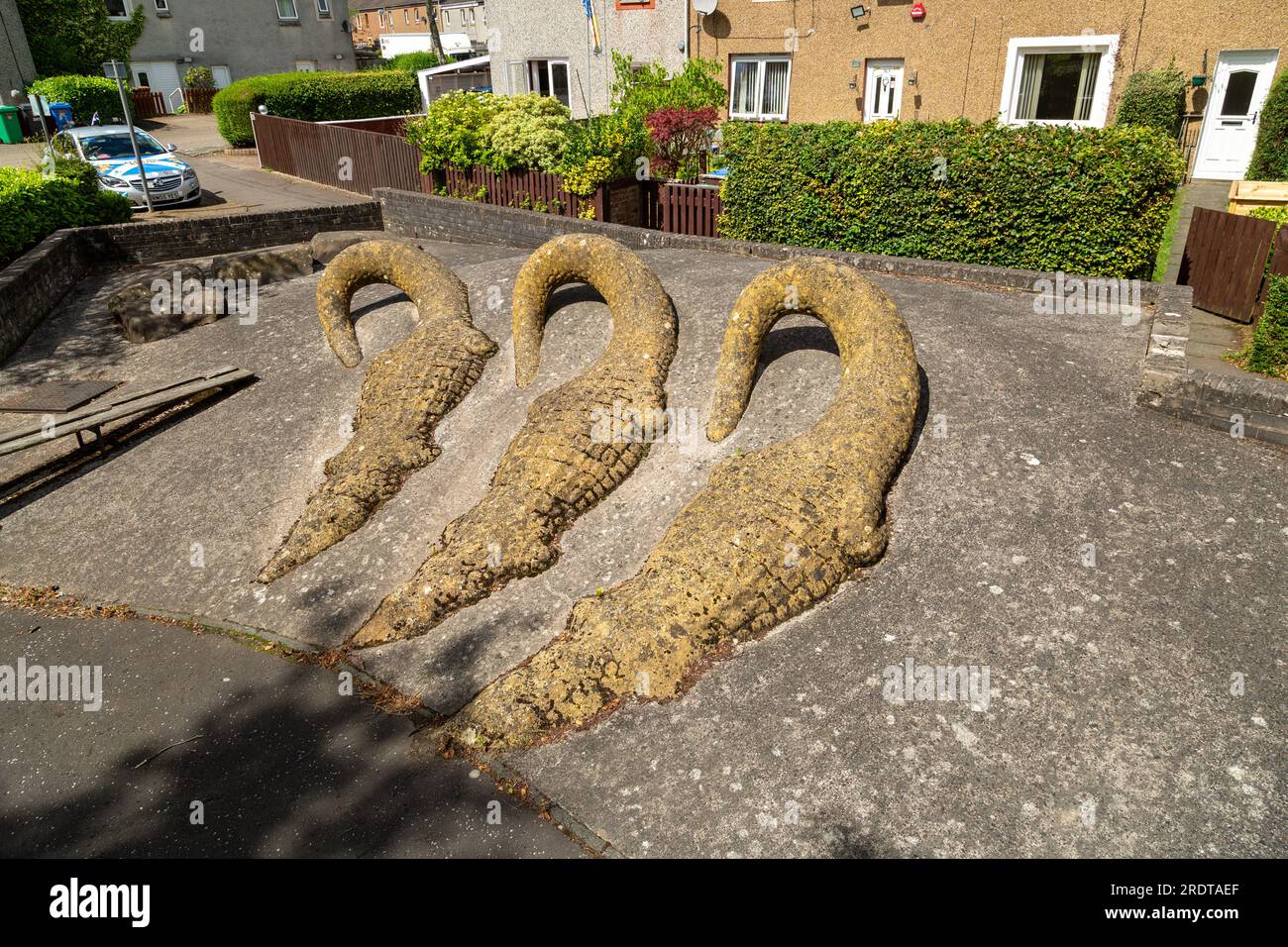 Concrete crocodiles hi-res stock photography and images - Alamy