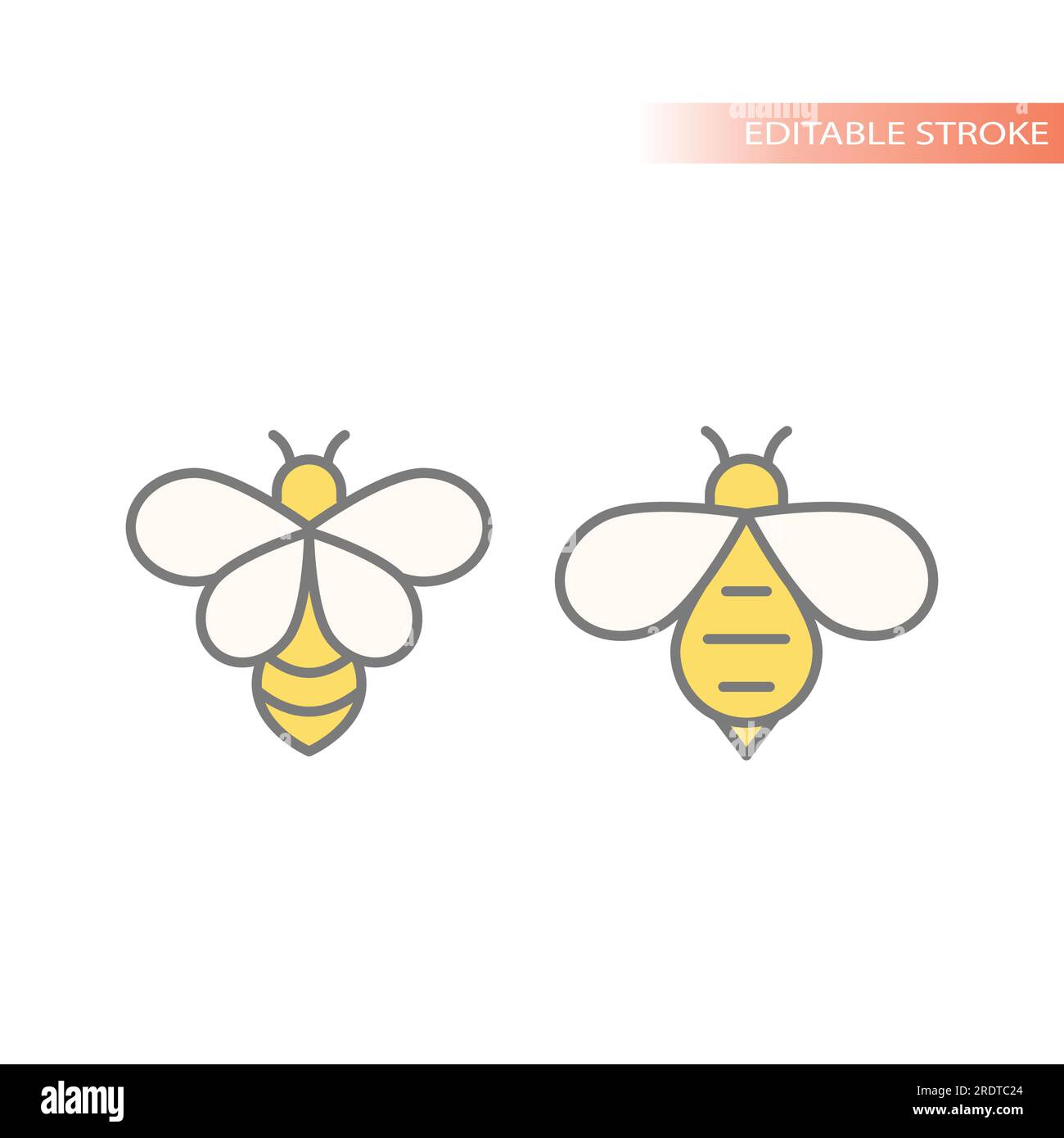 Honey bee line vector icon. Colorful honeybee outline icons Stock ...