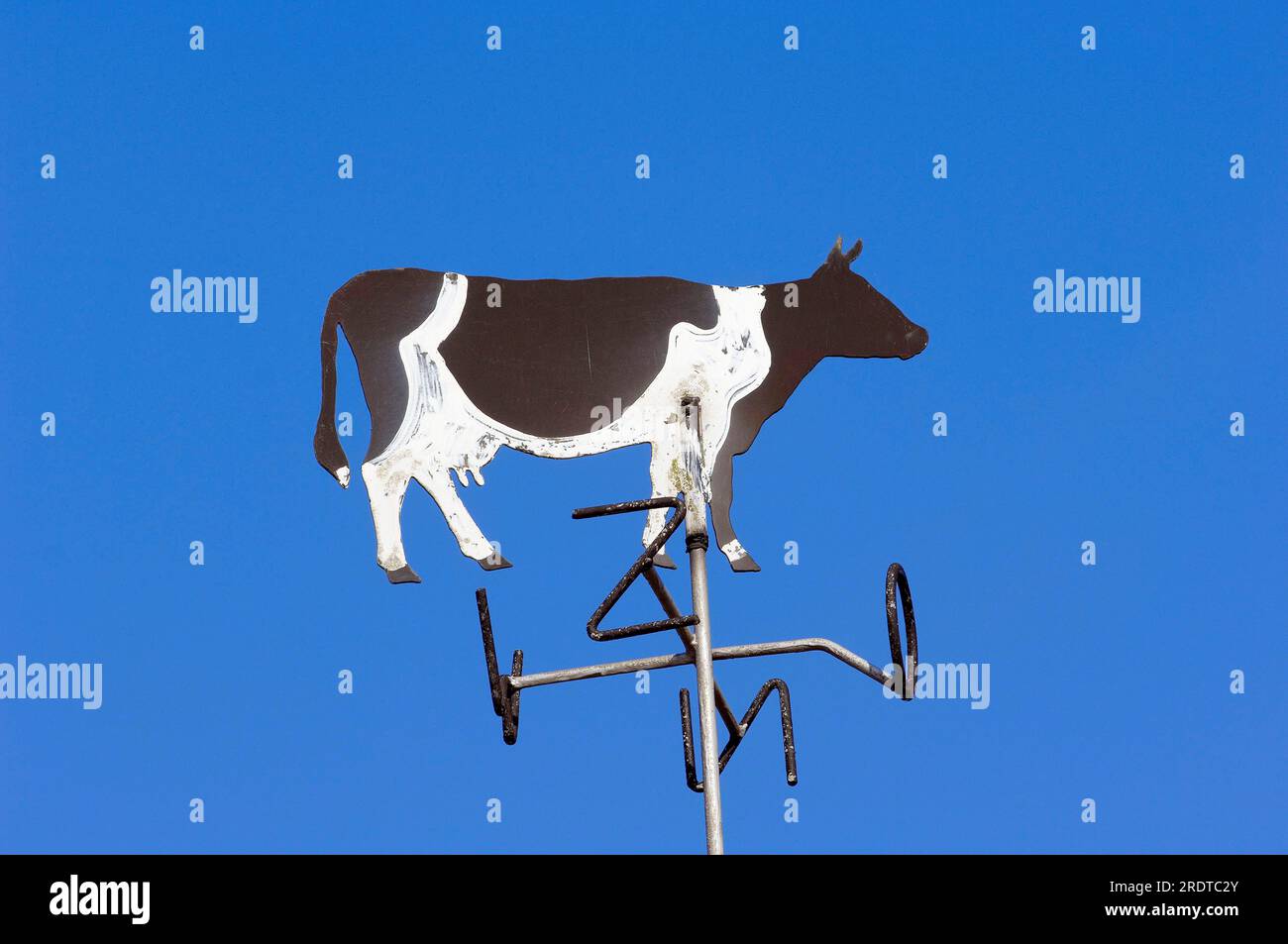 Weather vane, Netherlands, Wind direction indicator, Cow weather vane ...