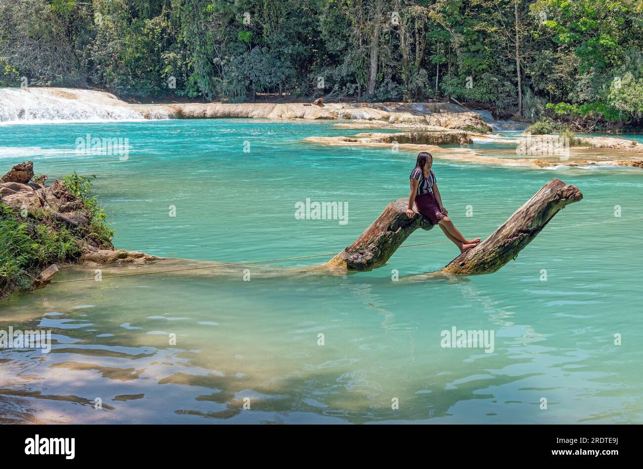 Indigenous mexican maya woman on wooden branch along the cascades of ...