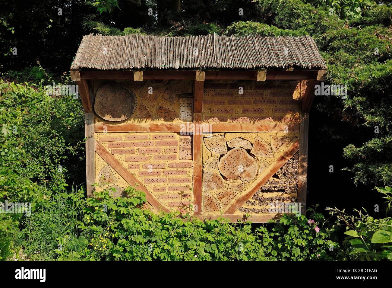 Nesting aids for wild bees and other insects, insect hotel, nwand ...