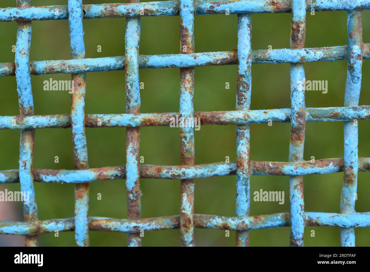 Iron painted mesh. Blue metal mesh close-up. iron fence Stock Photo - Alamy