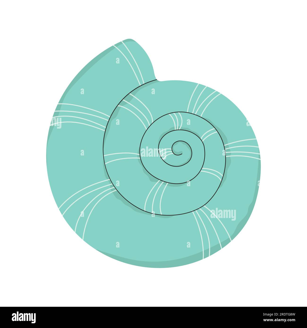 Marine underwater twisted seashell Stock Vector Image & Art - Alamy