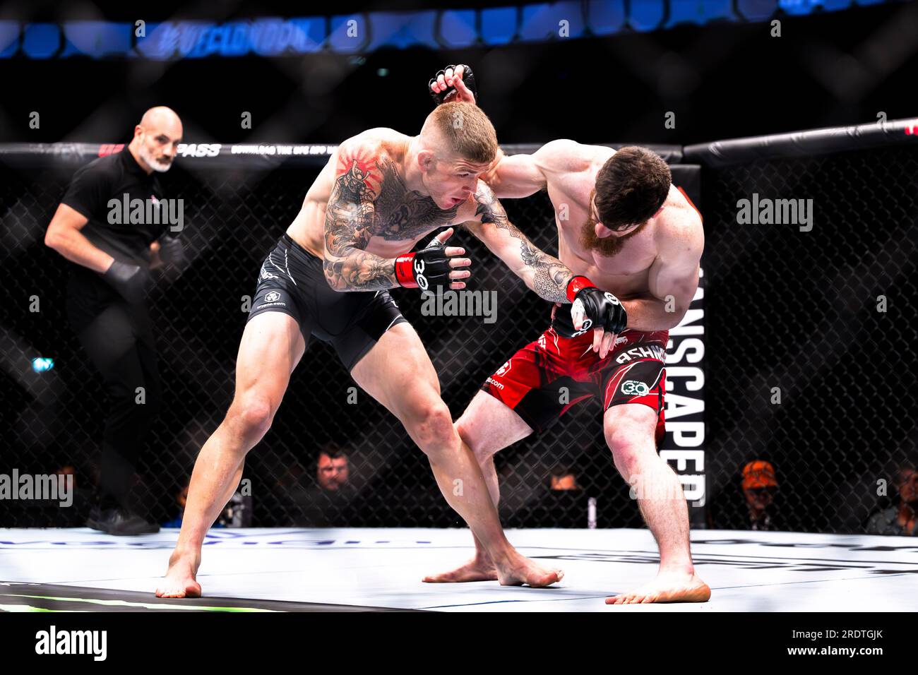 Aspinal vs tybura hi-res stock photography and images - Alamy