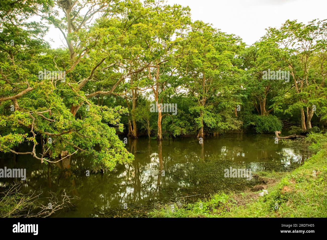 Drone agriculture southeast asia hi-res stock photography and images ...
