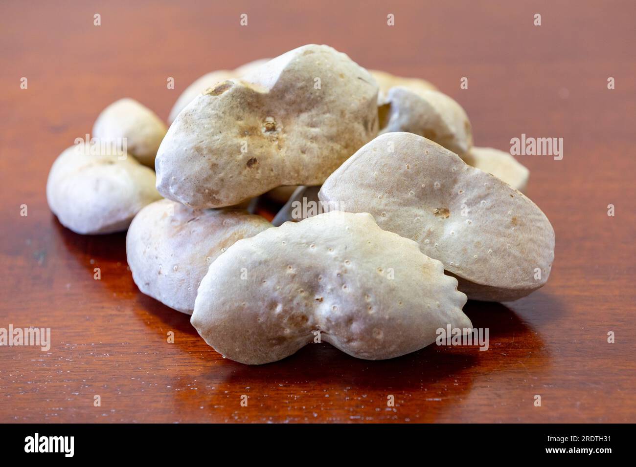 Edible bulb of the plant (Dioscorea bulbifera) originally from Africa ...