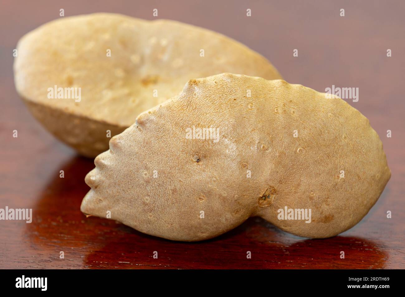 Edible bulb of the plant (Dioscorea bulbifera) originally from Africa ...