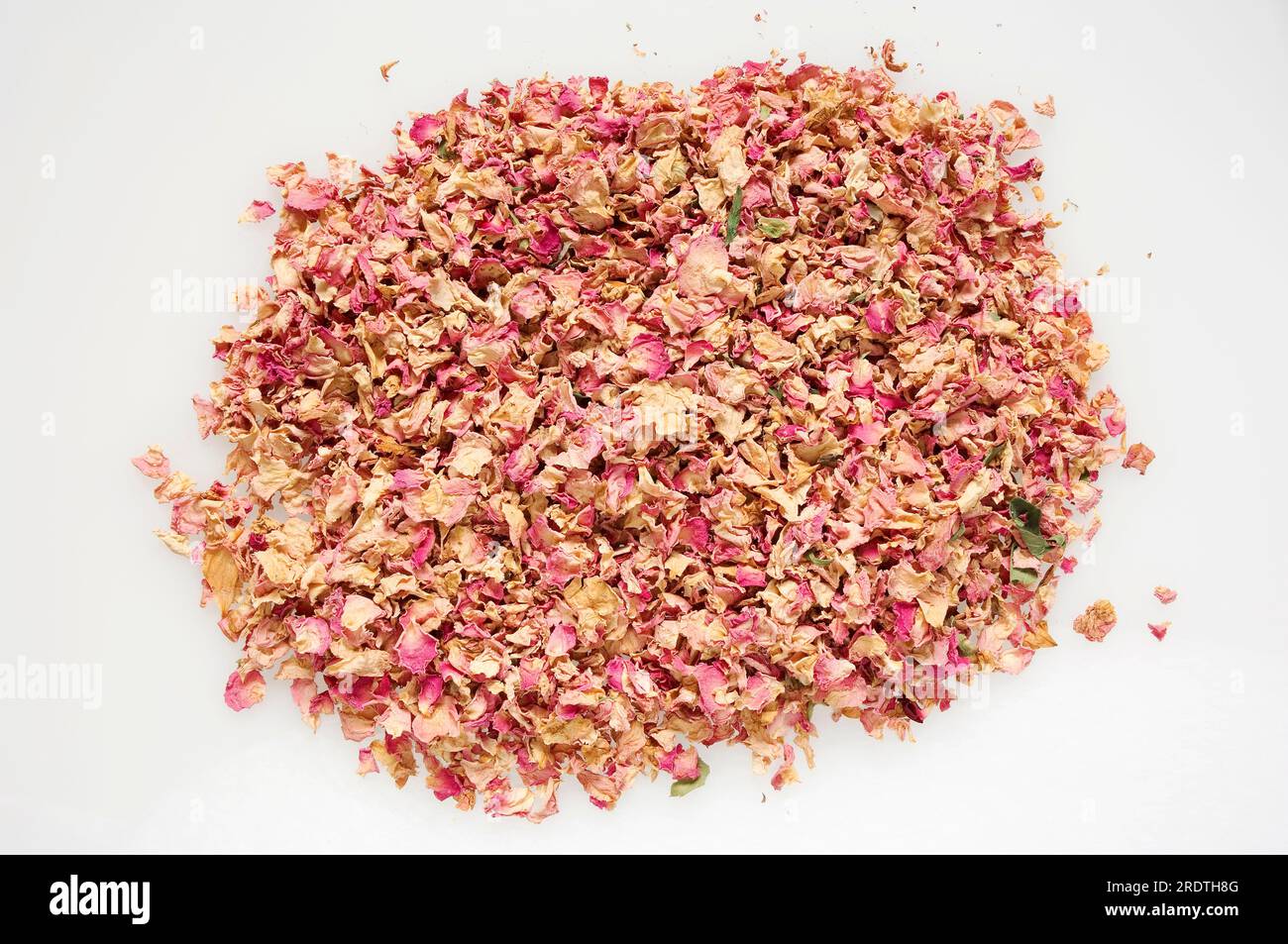 Dried shrub rose (Rosa), petals Stock Photo - Alamy