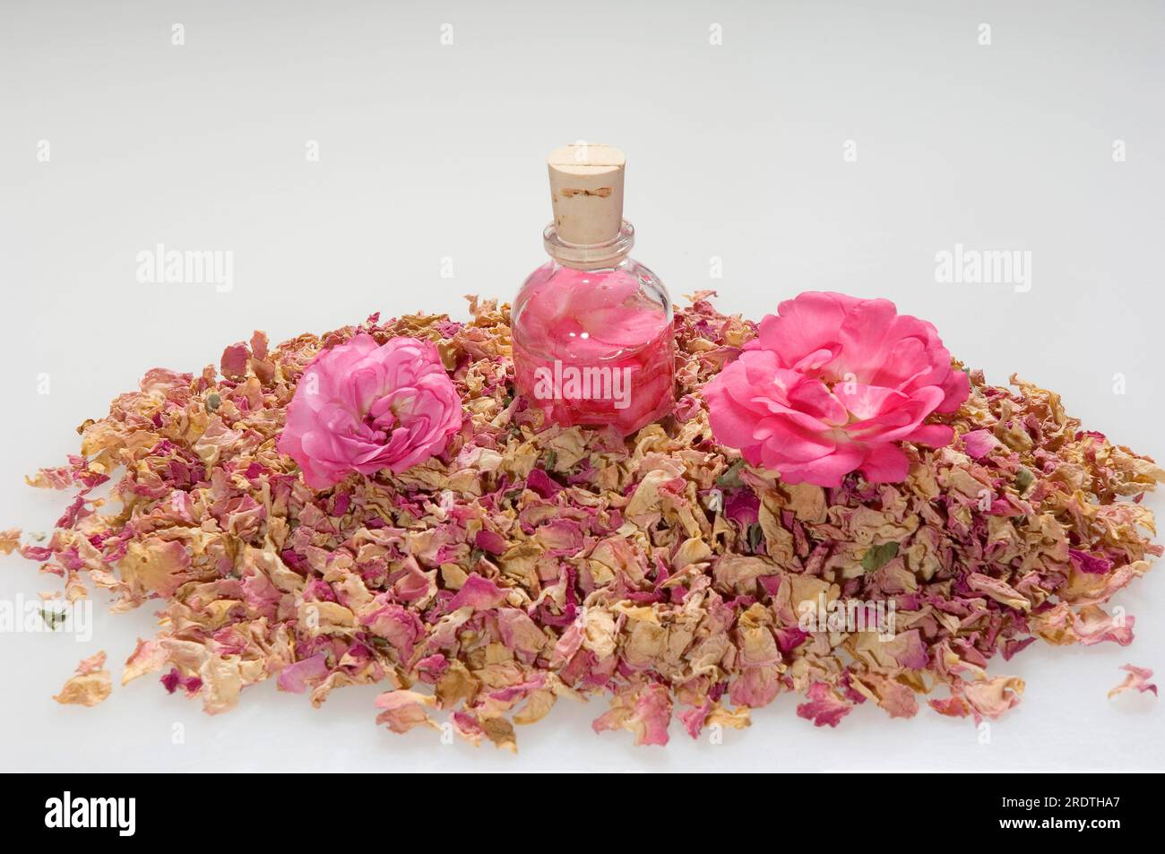 Dried rose petals and vial with shrub rose (Rosa), rose, petals, cut ...