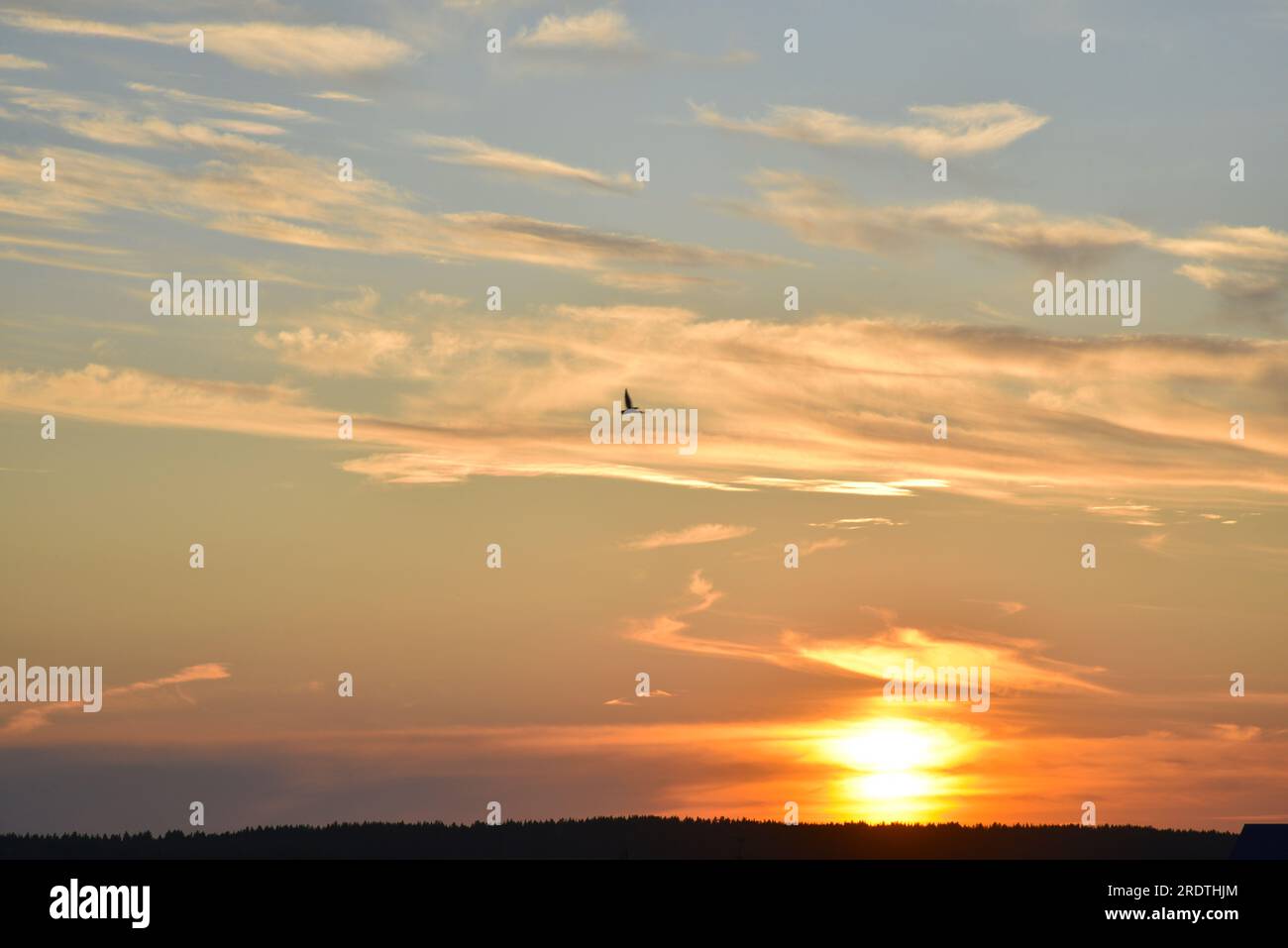 Beautiful summer sunset evening. Blue-yellow clouds of the setting sun ...