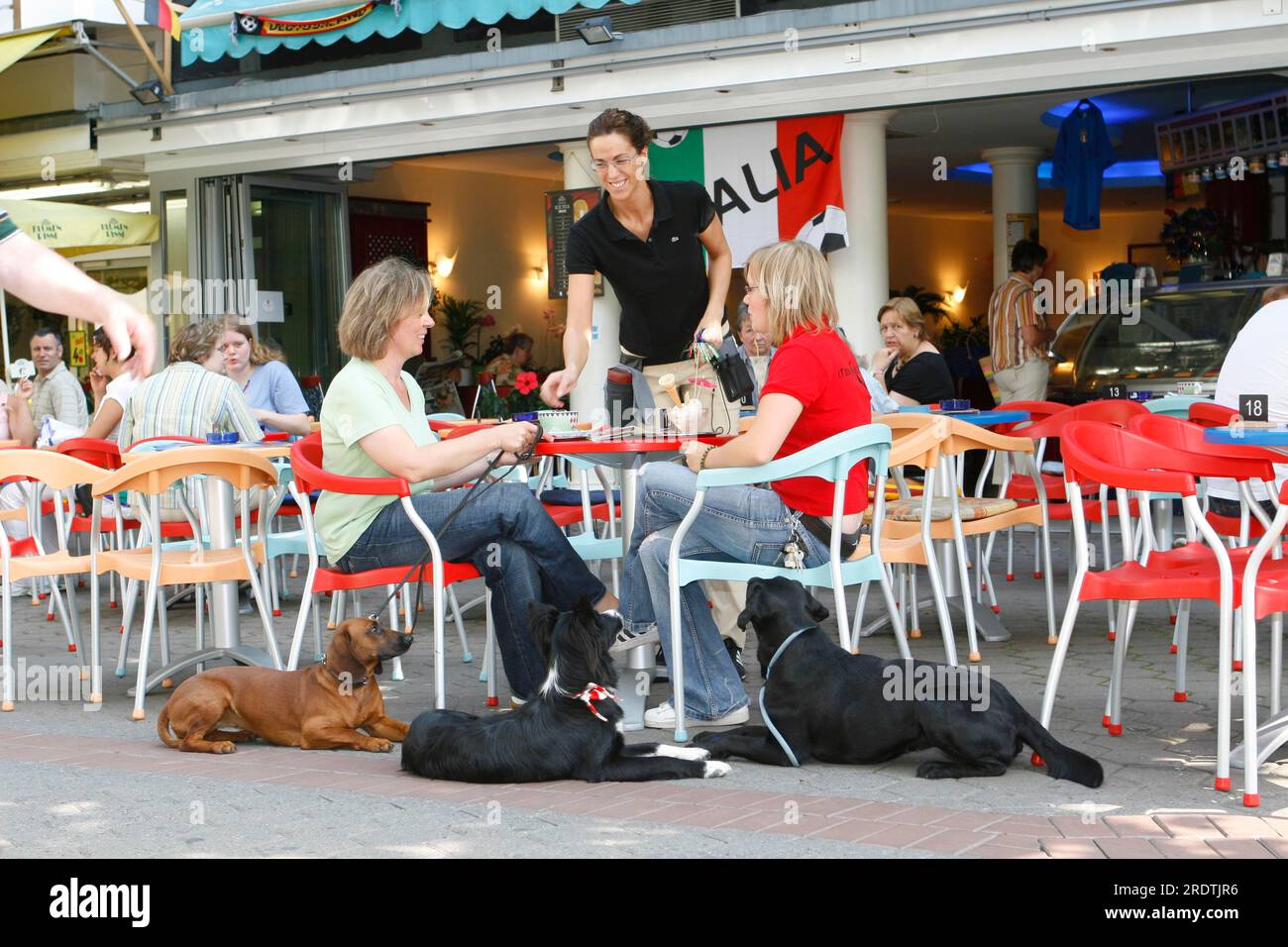 Women with dogs in street cafe, Bavarian Mountain Sweat Dog, Border ...