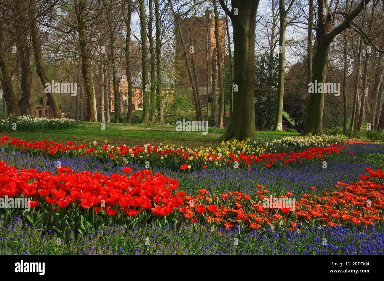 Flowerbed with tulips and hyacinths, Grand-Bigard Castle Garden ...