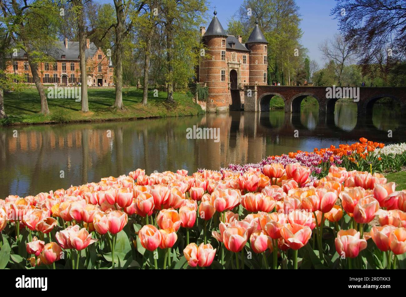 Tulip bed and castle of Grand-Bigard, Belgium Stock Photo - Alamy