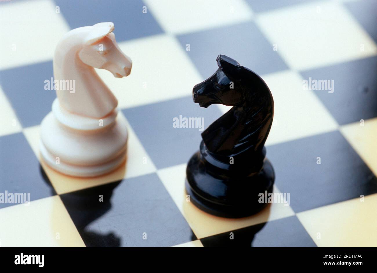Chessmen on chessboard, chess game, chess, knight Stock Photo - Alamy