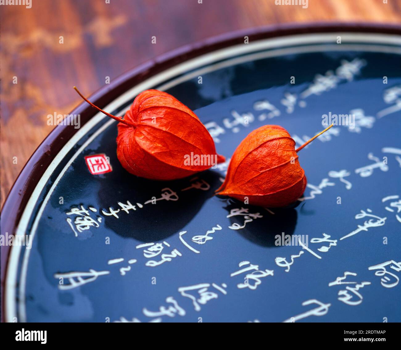 Bladder cherry (Physalis alkekengi) (Physalis franchetii), Japanese ...