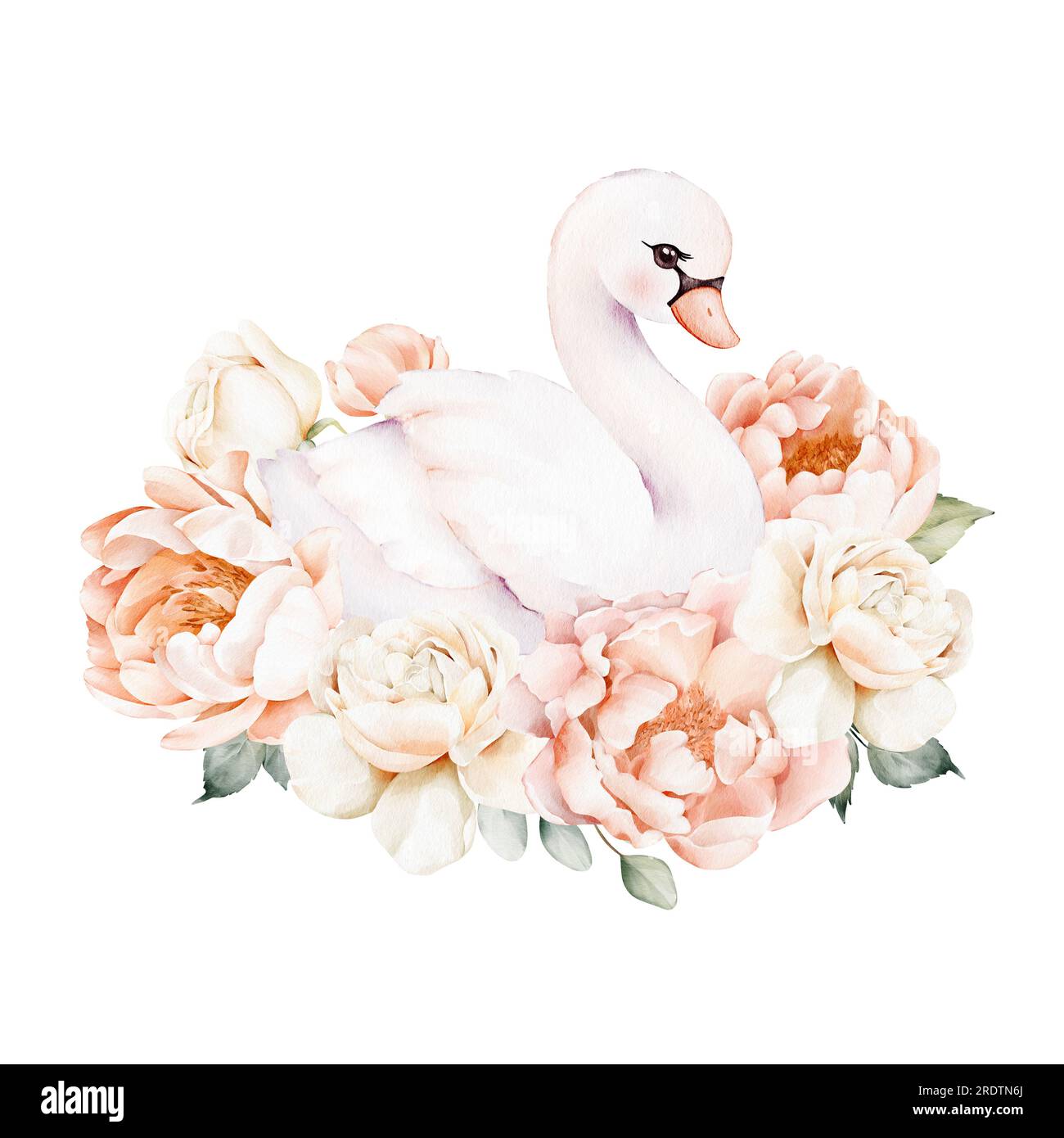 Watercolor composition with cute swan, delicate flowers and green ...