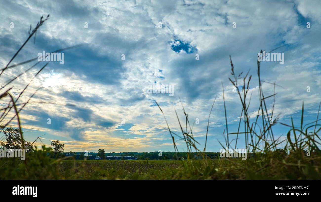 Cloudy blue sky day fading to sunset gold framed by plant life on ...