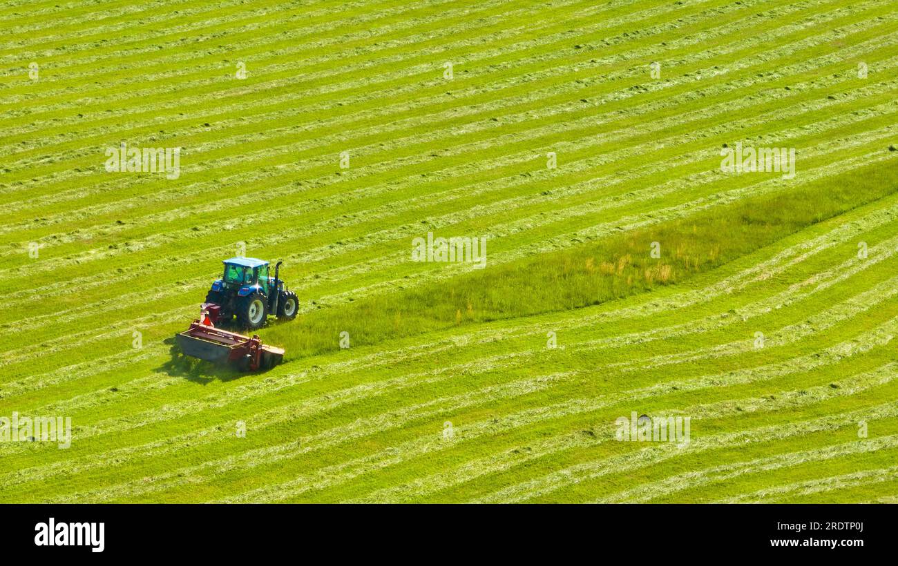 Aerial tractor mowing grass field with neat rows of owed grasses ...