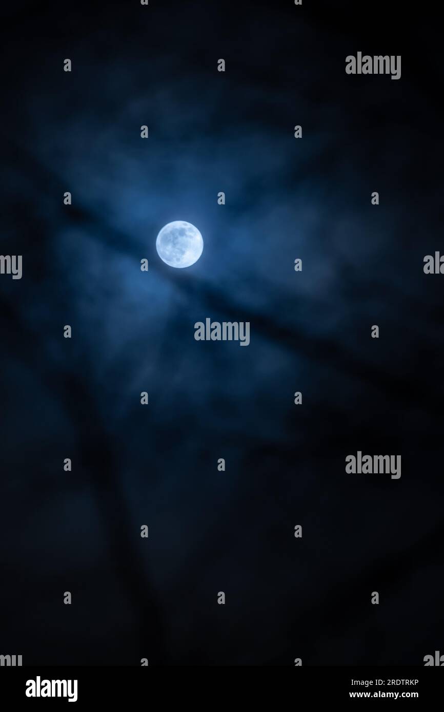 Full Moon with branches in Foreground, Hamburg, Germany Stock Photo - Alamy