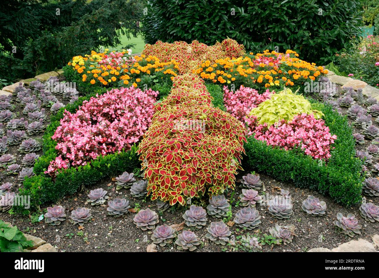 Garden in Germany, flower field in butterfly shape, Germany, Garden ...
