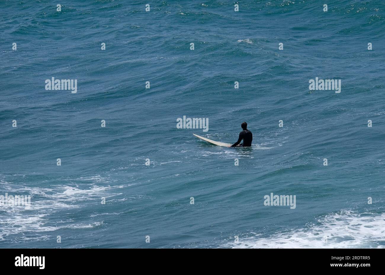 Surfer on his board waiting for the perfect wave Stock Photo - Alamy